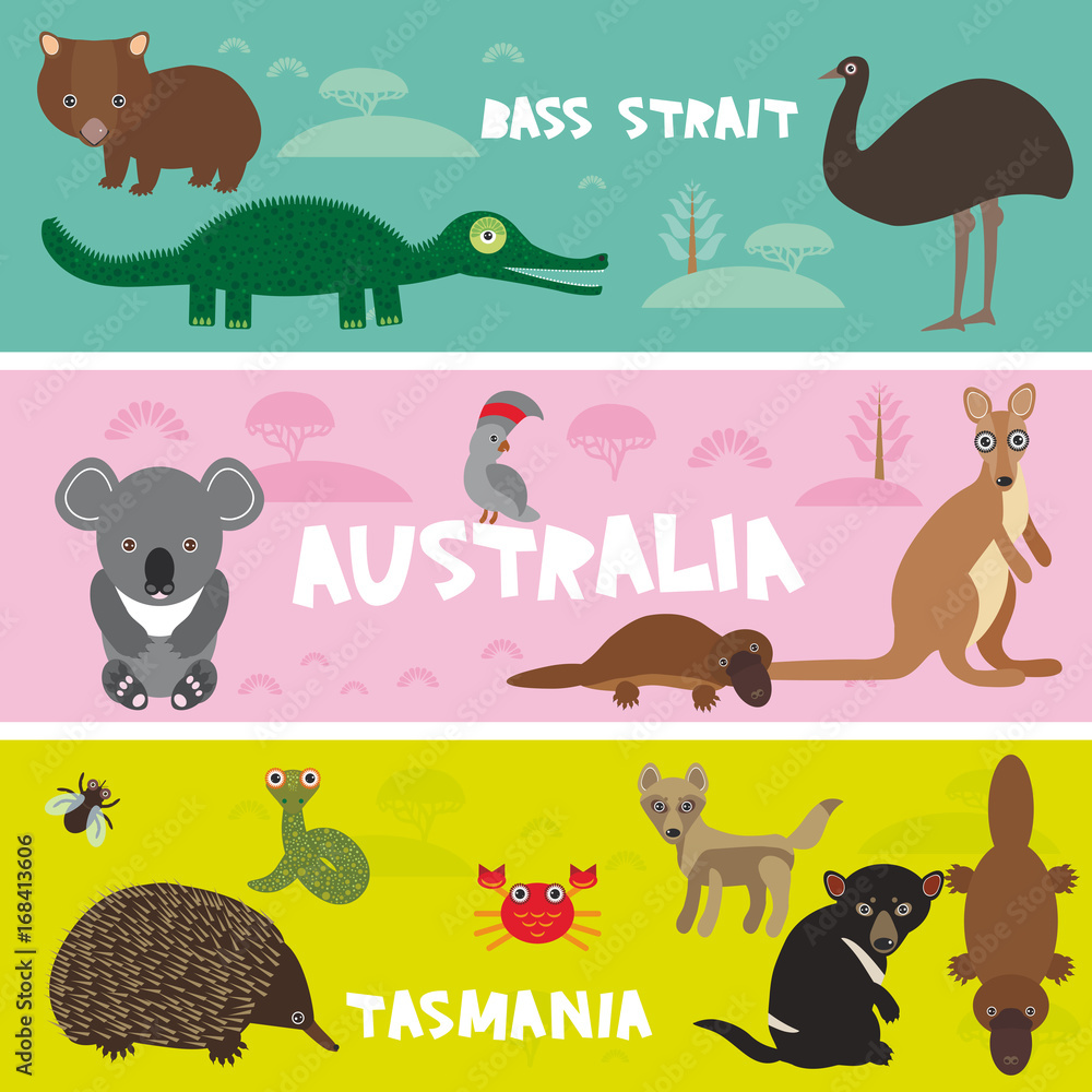 Vektor Cute animals set, Echidna koala Platypus ostrich Emu Tasmanian ...