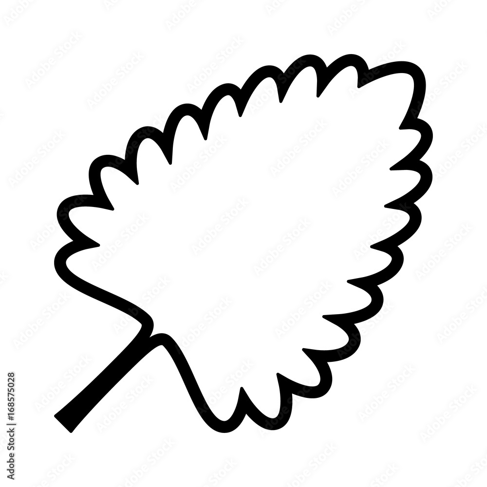 Catnip, catswort or catmint leaf line art vector icon for apps and ...