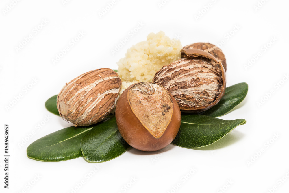 Shea butter. Vitellaria paradoxa Stock Photo | Adobe Stock