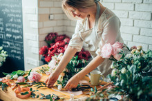 Flower Shop Free Stock Photo - Public Domain Pictures