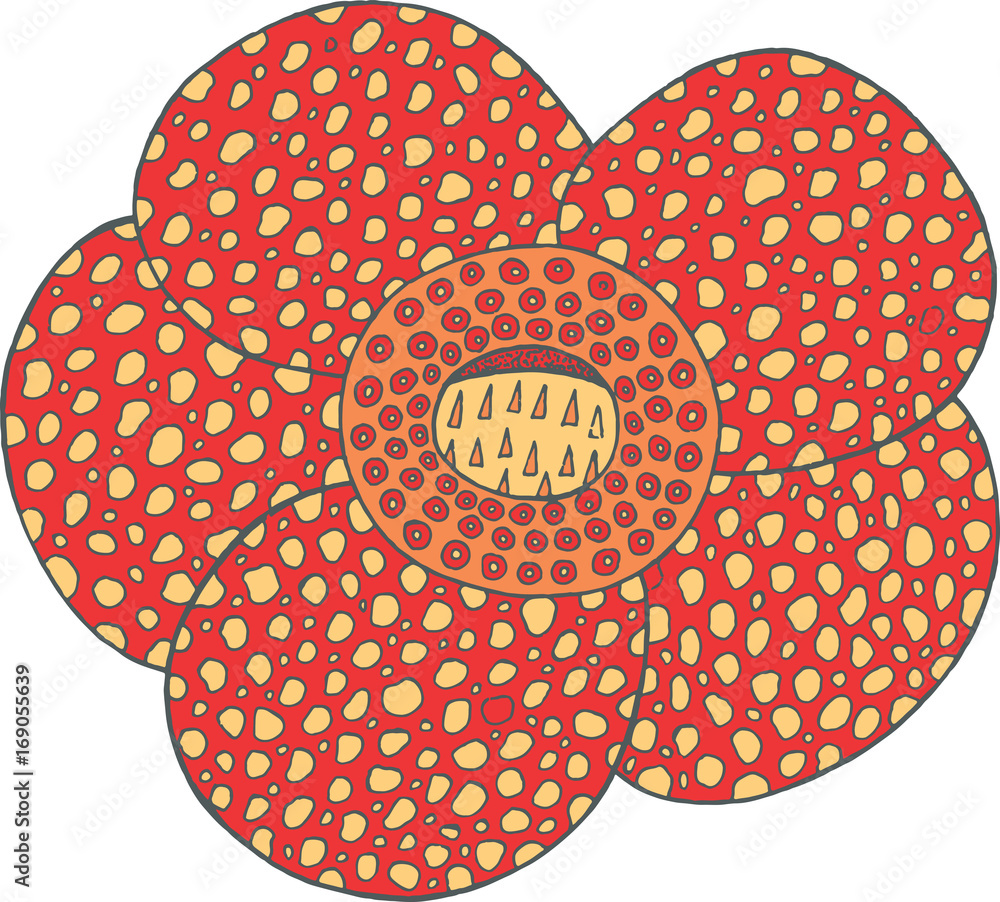 Rafflesia tropical flower vector isolated element. Exotic floral ...
