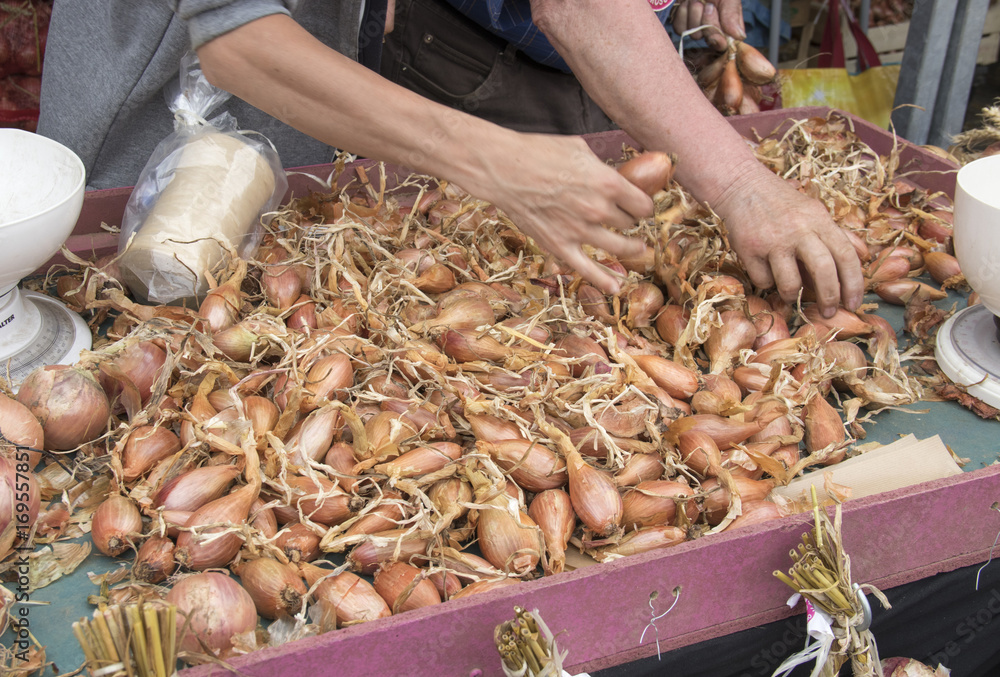 Oignons rosés de Roscoff et échalotes sur étal au marché Stock Photo ...