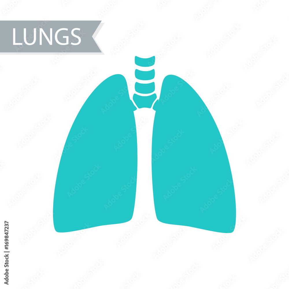 Vector silhouette medical illustration of human body organ - lungs with ...