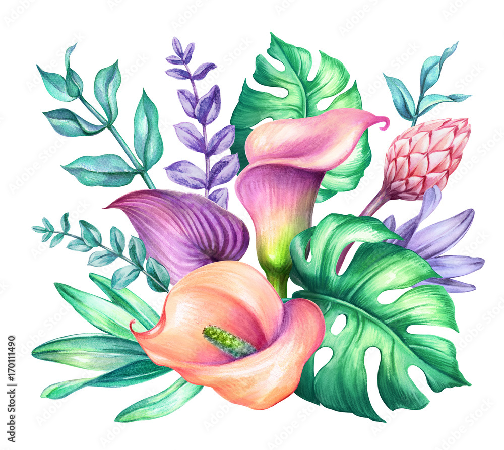 watercolor botanical illustration, wild tropical flowers, jungle green ...