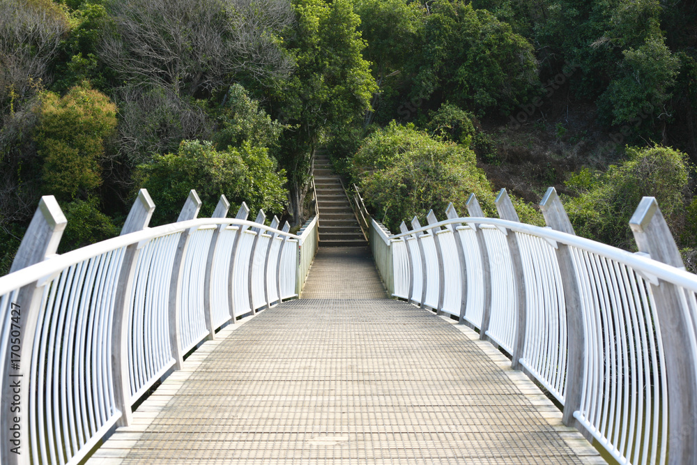 Architectural statement footbridge - Walking around Orakei Basin in an ...