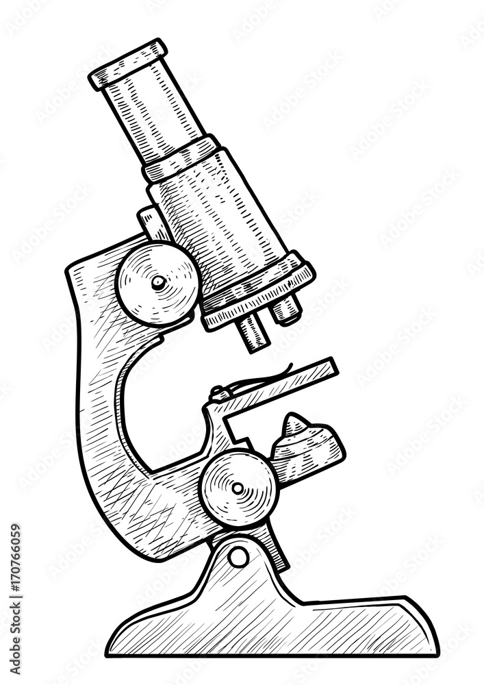 Microscope illustration, drawing, engraving, ink, line art, vector ...