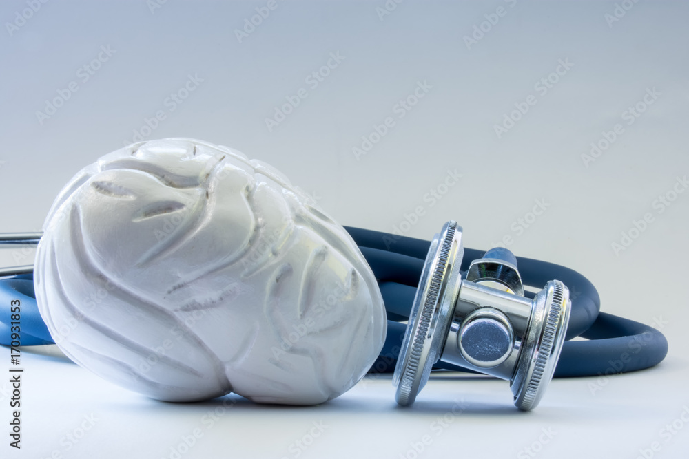 Brain near the stethoscope as symbol of health of organ, care ...