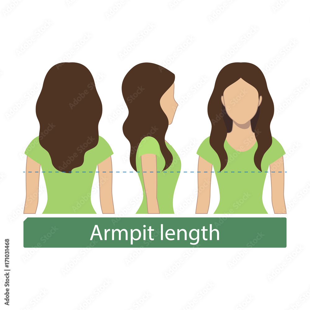 Hair length for haircuts and hairstyles - armpit length. Vector. Stock ...