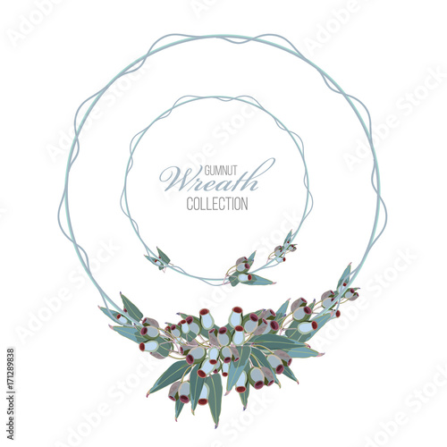Gumnut Wreath Vector Illustration Set Stock Vector | Adobe Stock