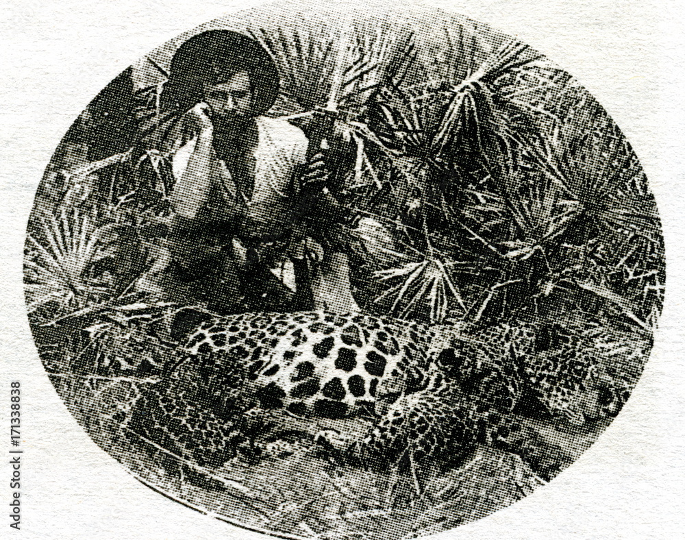 Percy Fawcett (1867- during or after 1925), british explorer who died ...