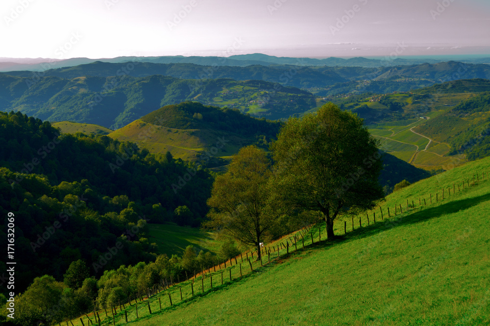 Restauracion del paisaje en zona de antiguas minas.Cuenca minera ...