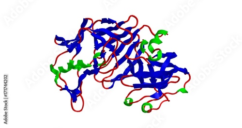 Molecular structure of pepsin, 3d rendering Stock-Illustration | Adobe ...