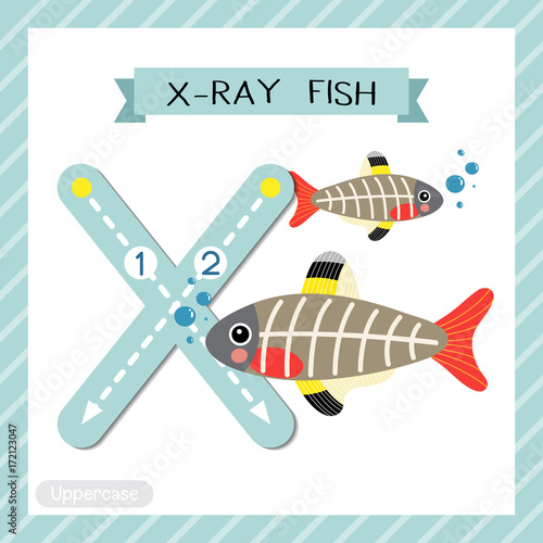 Letter X uppercase cute children colorful zoo and animals ABC alphabet ...