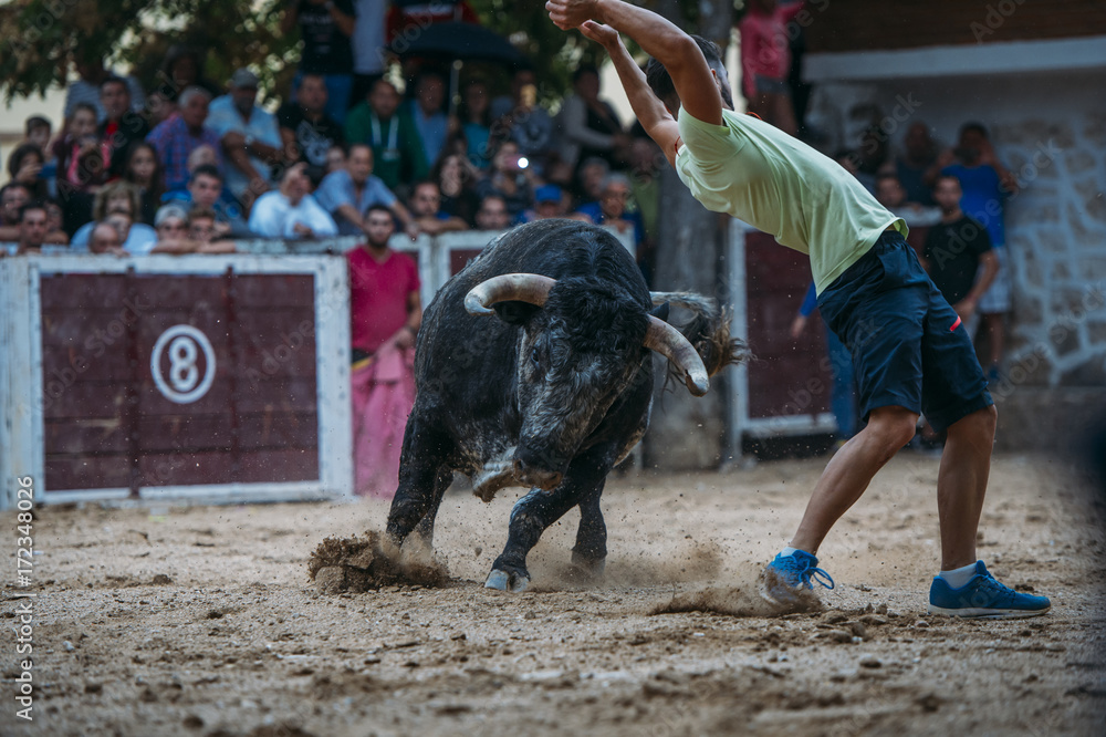 Bull on the bullring sand Stock Photo | Adobe Stock