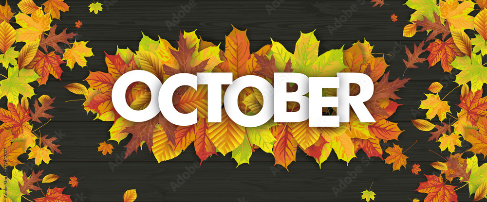 Autumn Foliage Fall Header October Wood Stock Vector | Adobe Stock