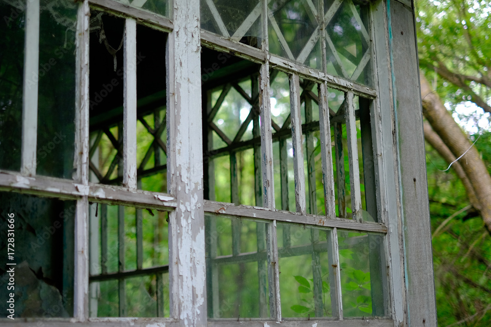 Pripyat and the area surrounding the exclusion zone of Chernobyl 30 ...