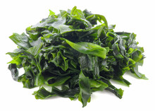 Seaweed On The Beach Free Stock Photo - Public Domain Pictures