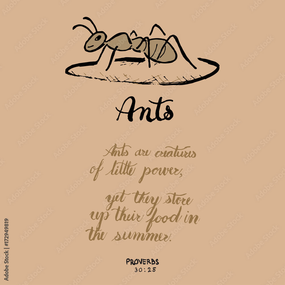 Ants line art drawing with Christian bible verse in proverbs on brown ...
