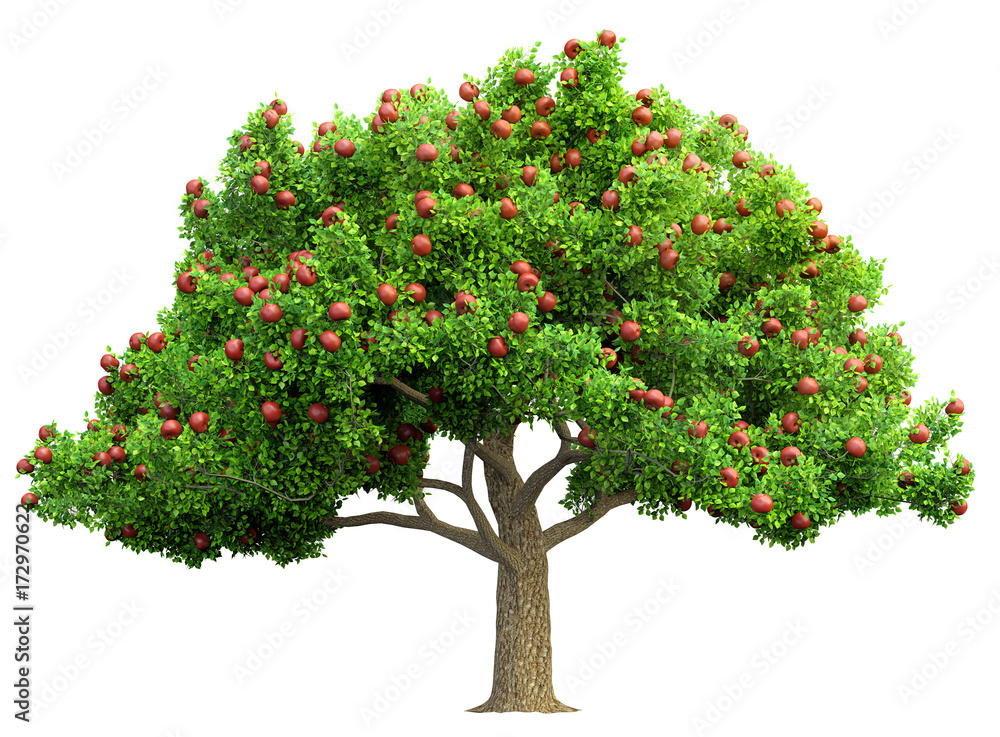 red apple tree isolated 3D illustration Stock Illustration | Adobe Stock