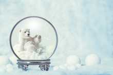 Polar Bear Snow Globe Free Stock Photo - Public Domain Pictures