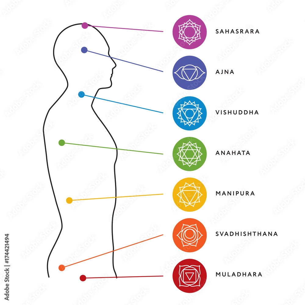 Chakra system of human body chart. Seven chakra symbols. Location ...