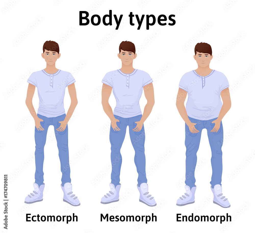 Constitution of human body. Man body types. Endomorph, ectomorph and ...