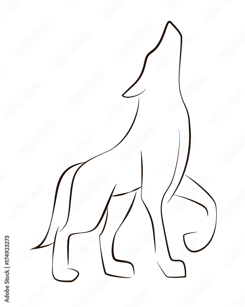 Standing black line wolf on white background. Hand drawing howling ...