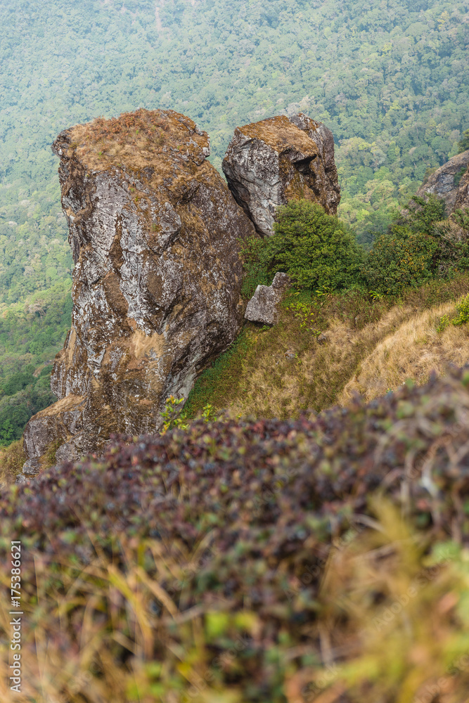 Pha-Ngam Noi: Twin Granite Rock Outcrop with green and purple plants ...