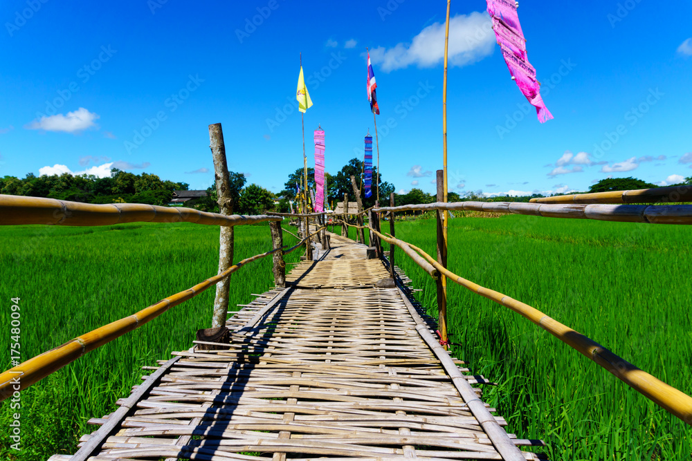 beautiful Rural bamboo bridge across the rice paddy fields with blue ...