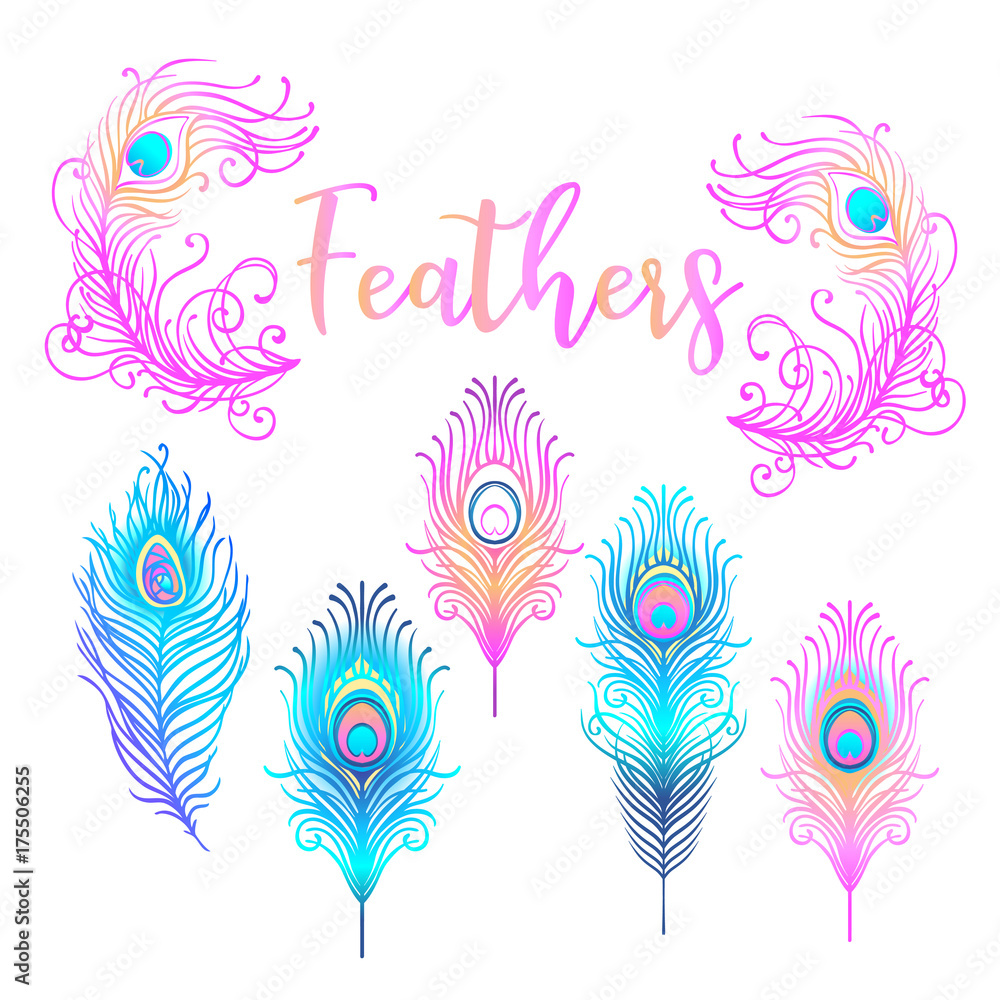 Vector illustration of beautiful peacock feather set isolated on a ...