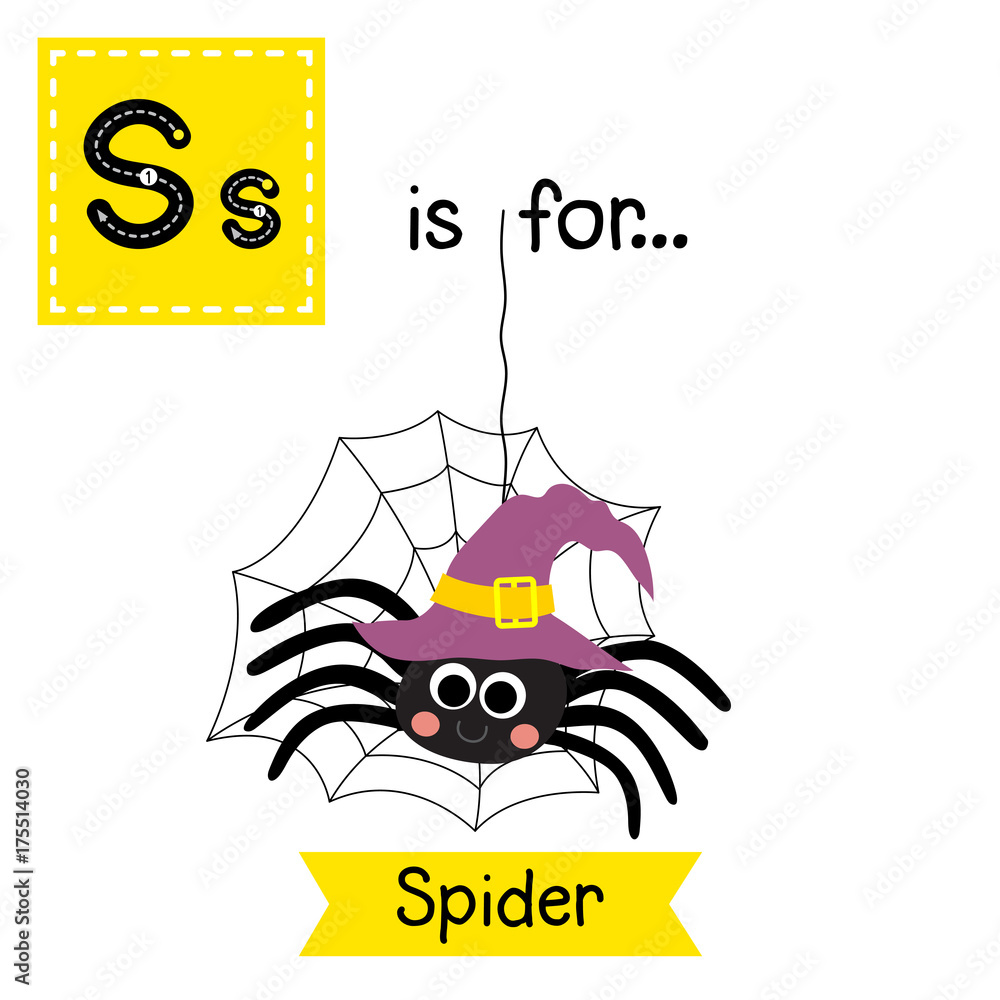 Cute children ABC alphabet S letter tracing flashcard of Spider with ...