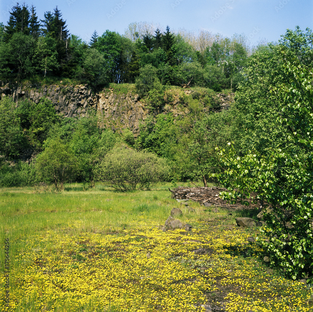 Nature reserve Lange Rhoen Rhoen near Oberelsbach Lower Frankonia ...