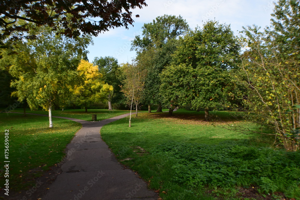 Park Split Path View Stock Photo | Adobe Stock