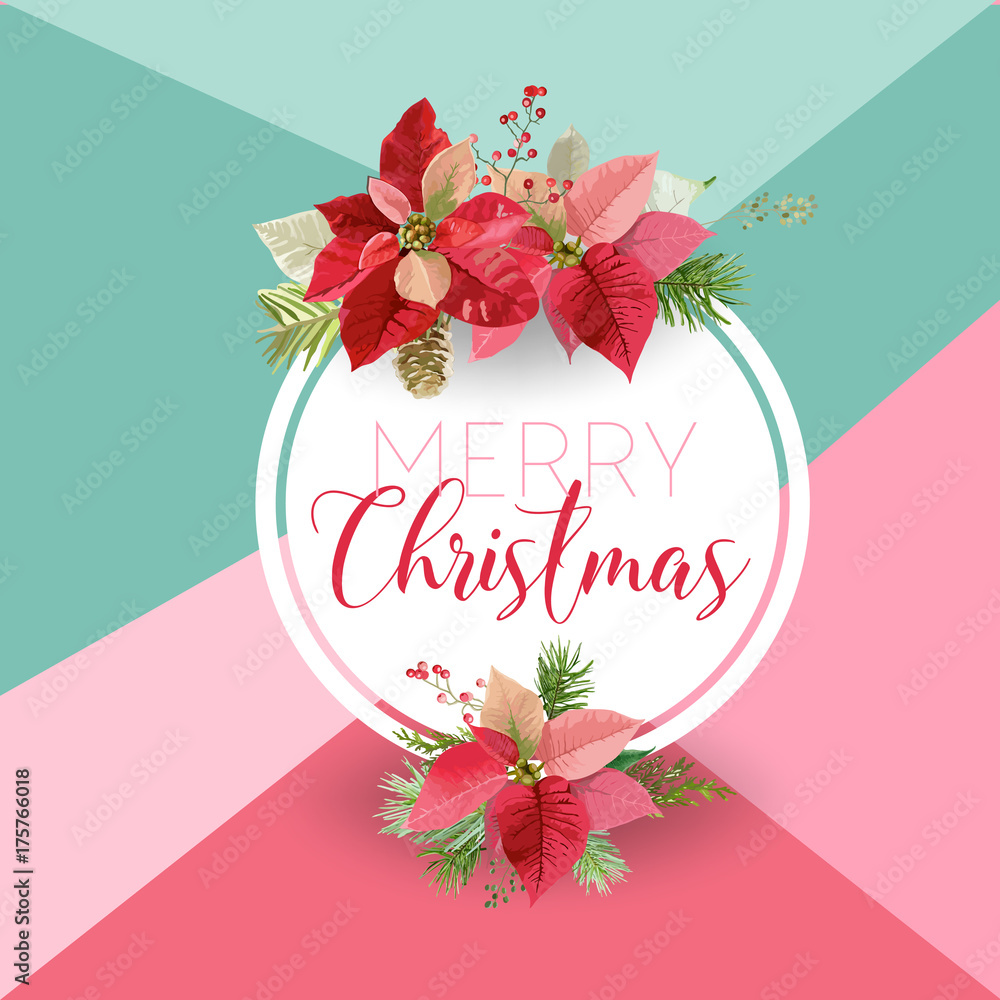 Christmas Winter Poinsettia Flower Banner, Graphic Background, Floral ...