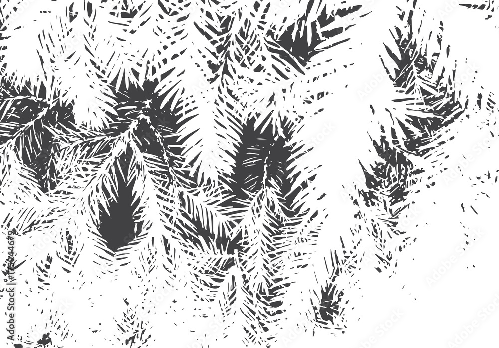 Fir branches texture. Christmas overlay. Nature illustration.Black and ...