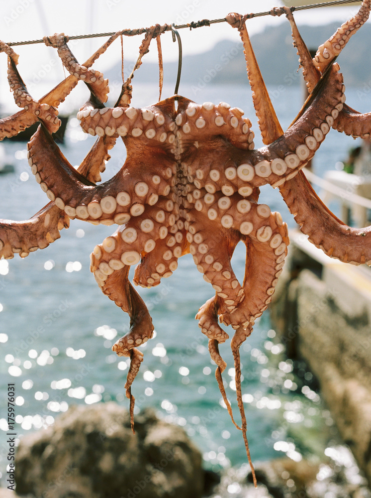 One octopus air drying on a line in Santorini, Greece Stock Photo ...