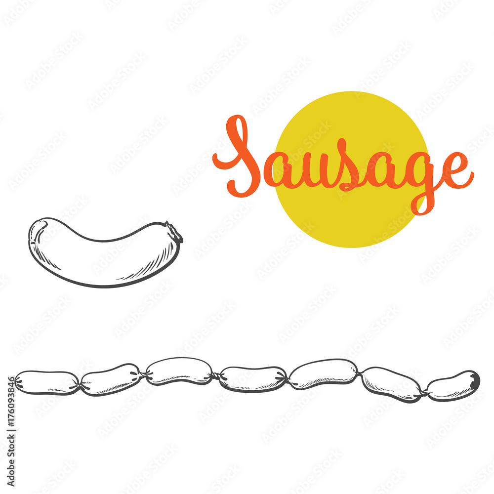 vector sketch sausages chain. Cartoon isolated illustration on a white ...