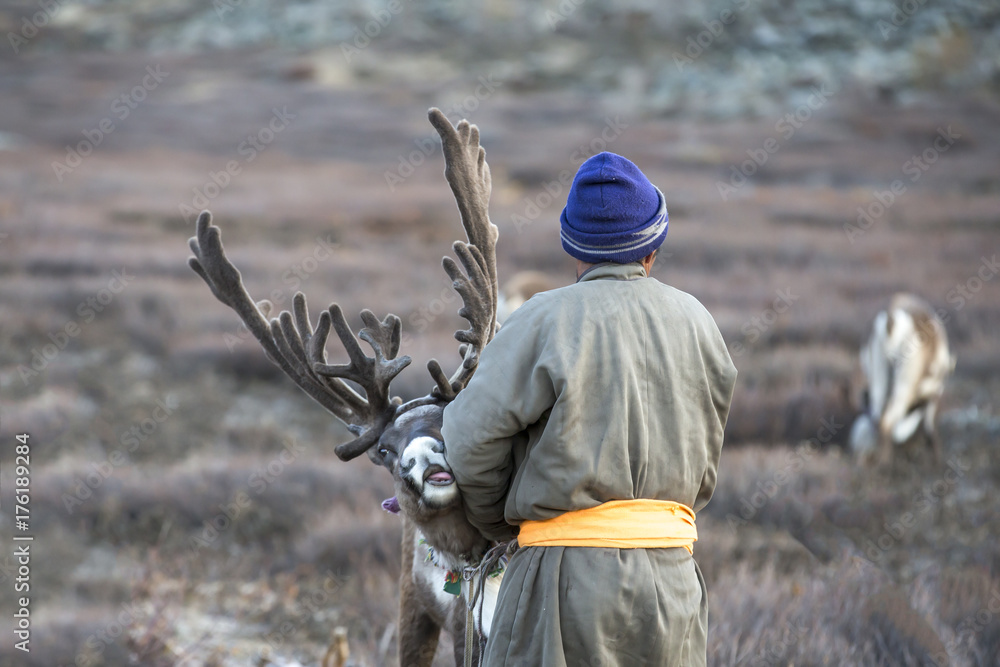 tsaatan man, dressed in a traditional deel, with his reindeers Stock ...
