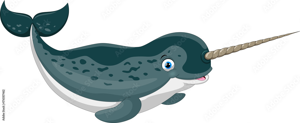 Vector illustration of cartoon narwhal isolated on white background ...