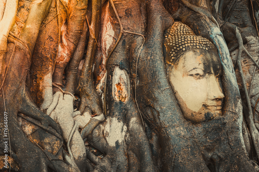 Amazing Buddha head statue in bodhi tree roots at Wat Maha That ...
