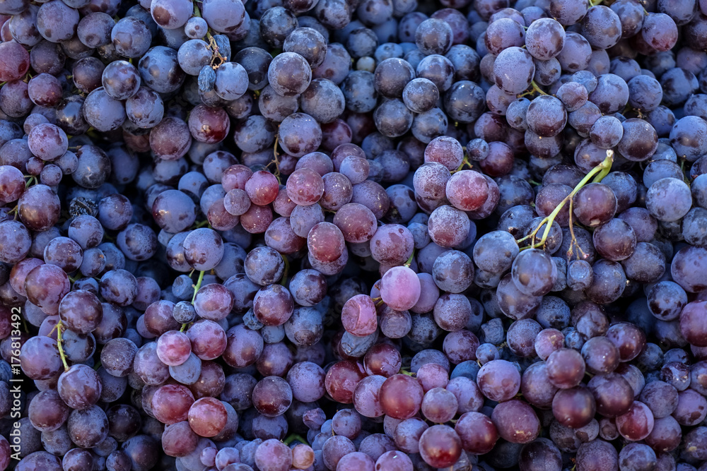 Piles of delicious fresh juicy seedless red grapes background in local ...