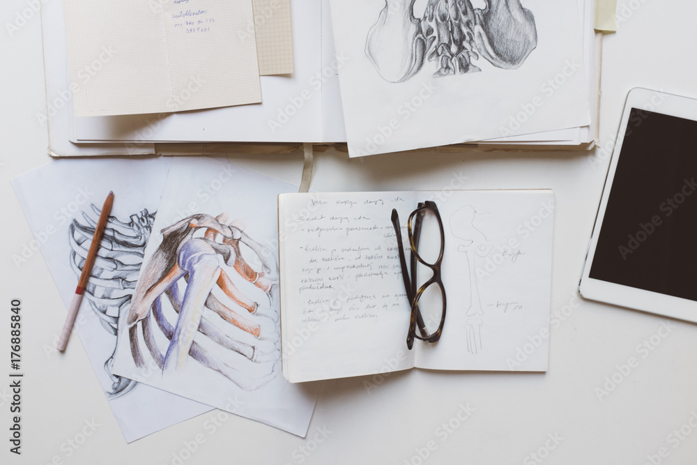 Anatomy Research Stock Photo | Adobe Stock