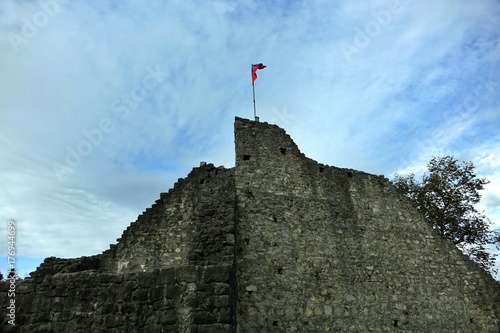burgruine schellenberg in liechtenstein Stock Photo | Adobe Stock