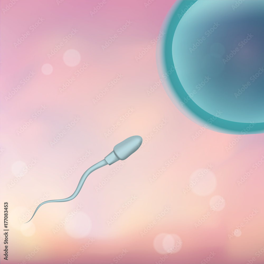 Spermatozoon sperm and ovum egg. In vitro fertilization IVF. Artificial ...