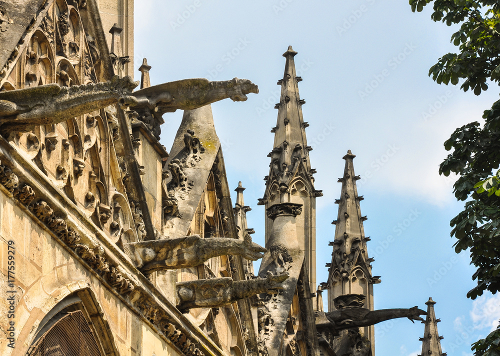 Gothic Architecture Gargoyles
