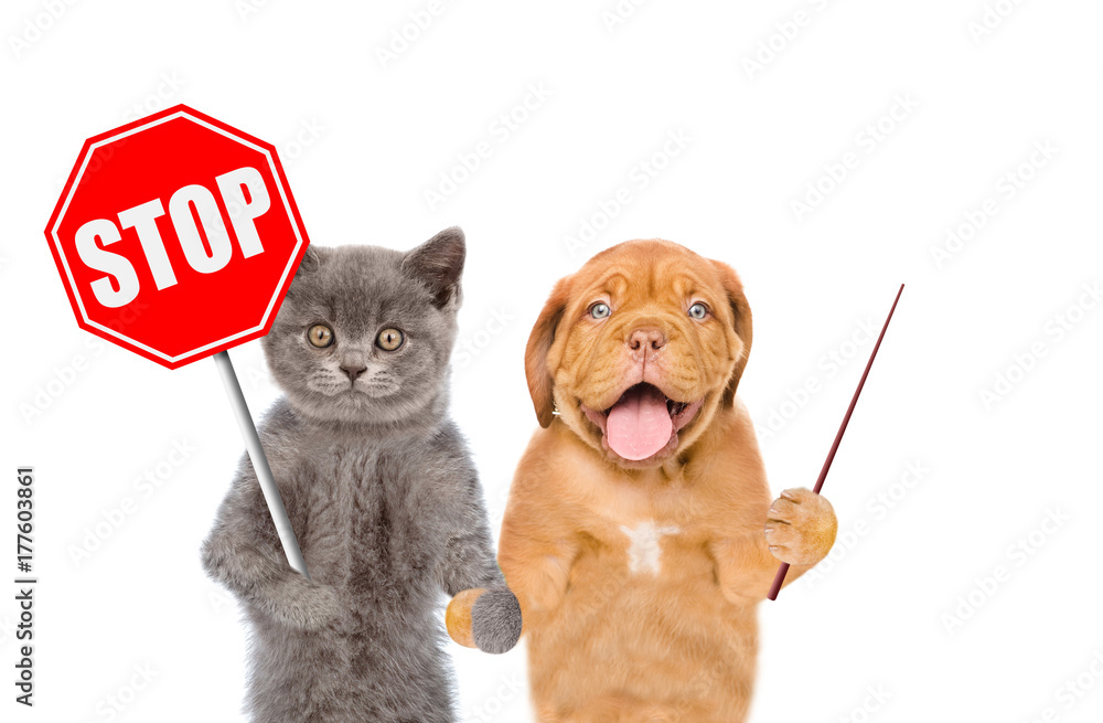 Dog holding stop sign and pointing stick. Isolated on white background ...