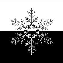 Black Snowflake Free Stock Photo - Public Domain Pictures