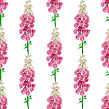 Wallpaper Foxglove Flower Free Stock Photo - Public Domain Pictures