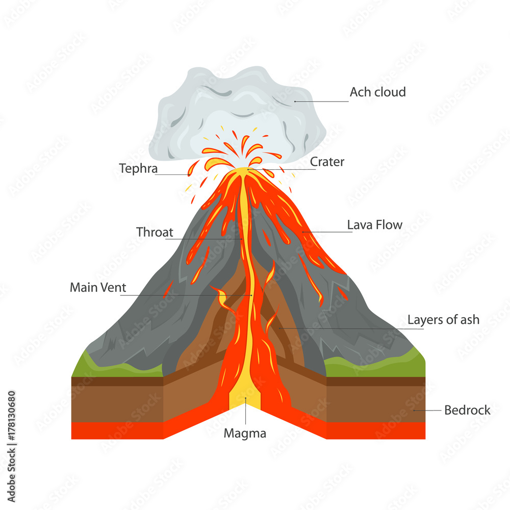 Volcano Cross Section View. Vector Stock Vector | Adobe Stock