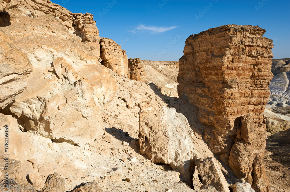 On the Ustyurt Plateau. Desert and plateau Ustyurt or Ustyurt plateau ...